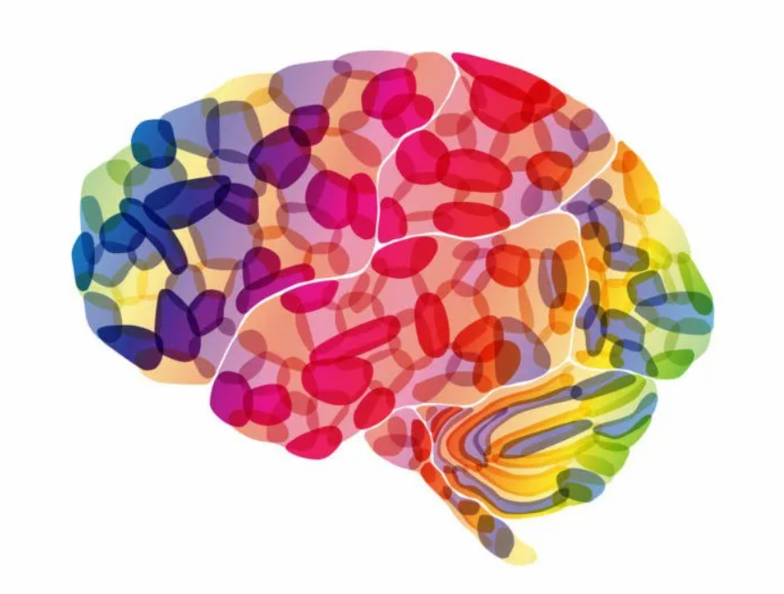 Hidden in Plain Sight: How to Choose Your Brand’s Colors